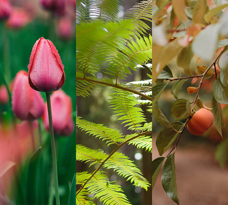 Nestldown | Connect. Inspire. Celebrate.