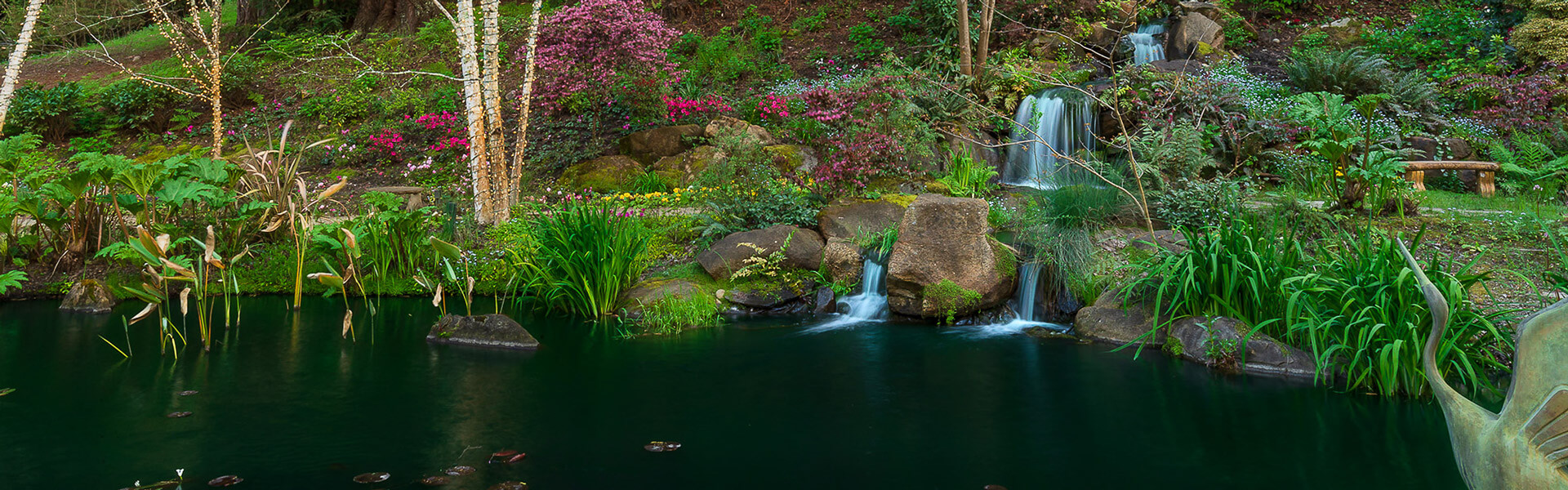 Nestldown | Los Gatos, California | Koi Pond